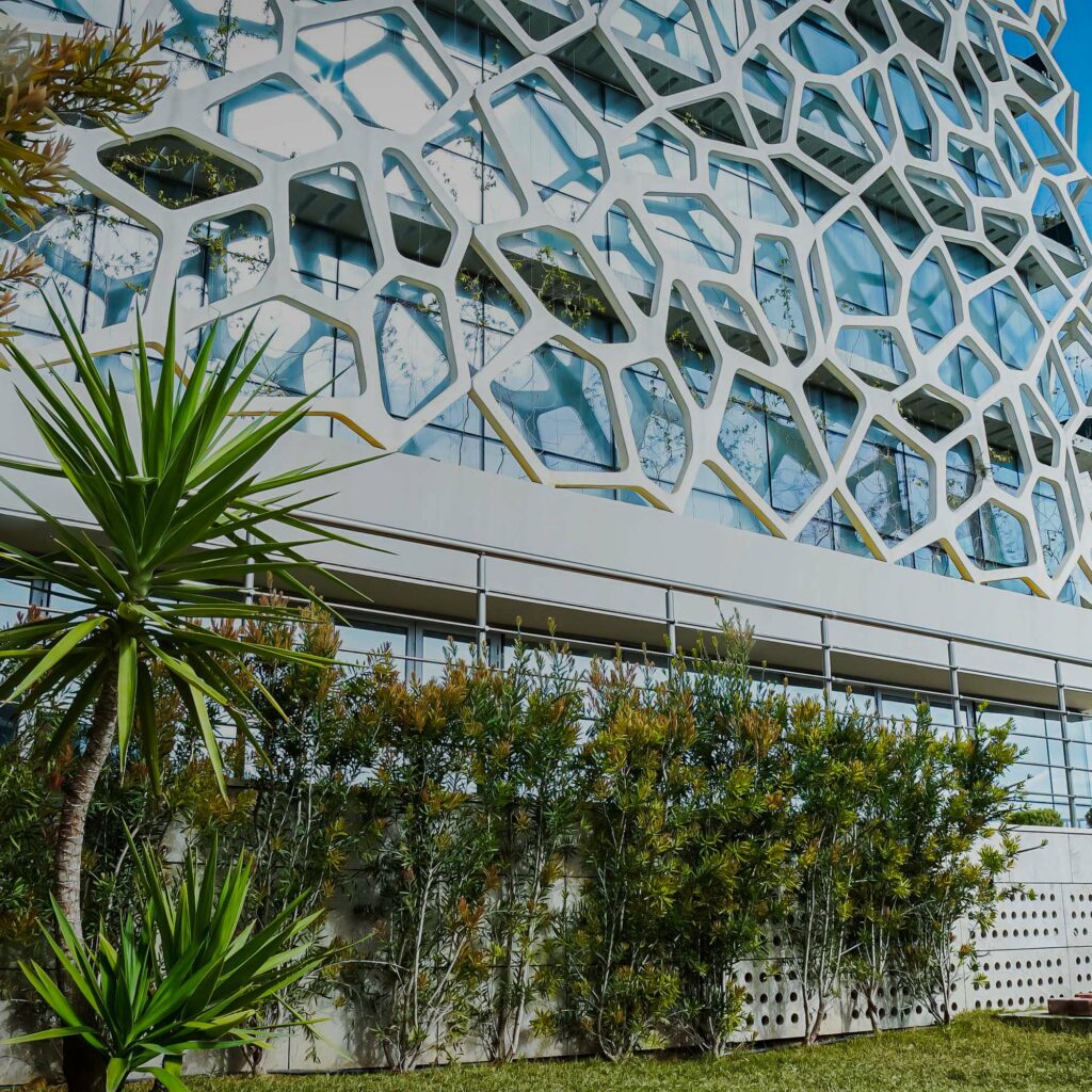 Fedi Jalloul – When Art Meets Strategy